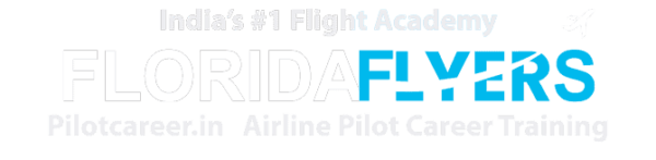Quick and Easy: How to Become a Co Pilot in Just 6 Months